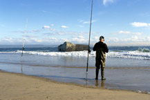 LA PÊCHE SUR LE BASSIN D'ARCACHON. Bar, maigre, thon, loubines, brochet ...